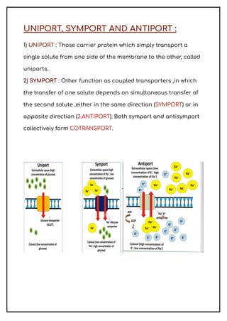 Membrane Channels And Pump | PDF