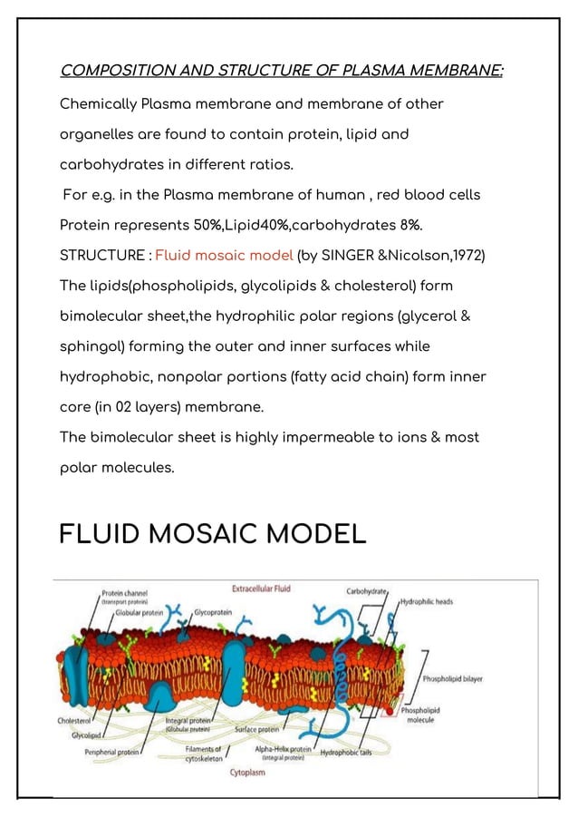 Membrane Channels And Pump | PDF