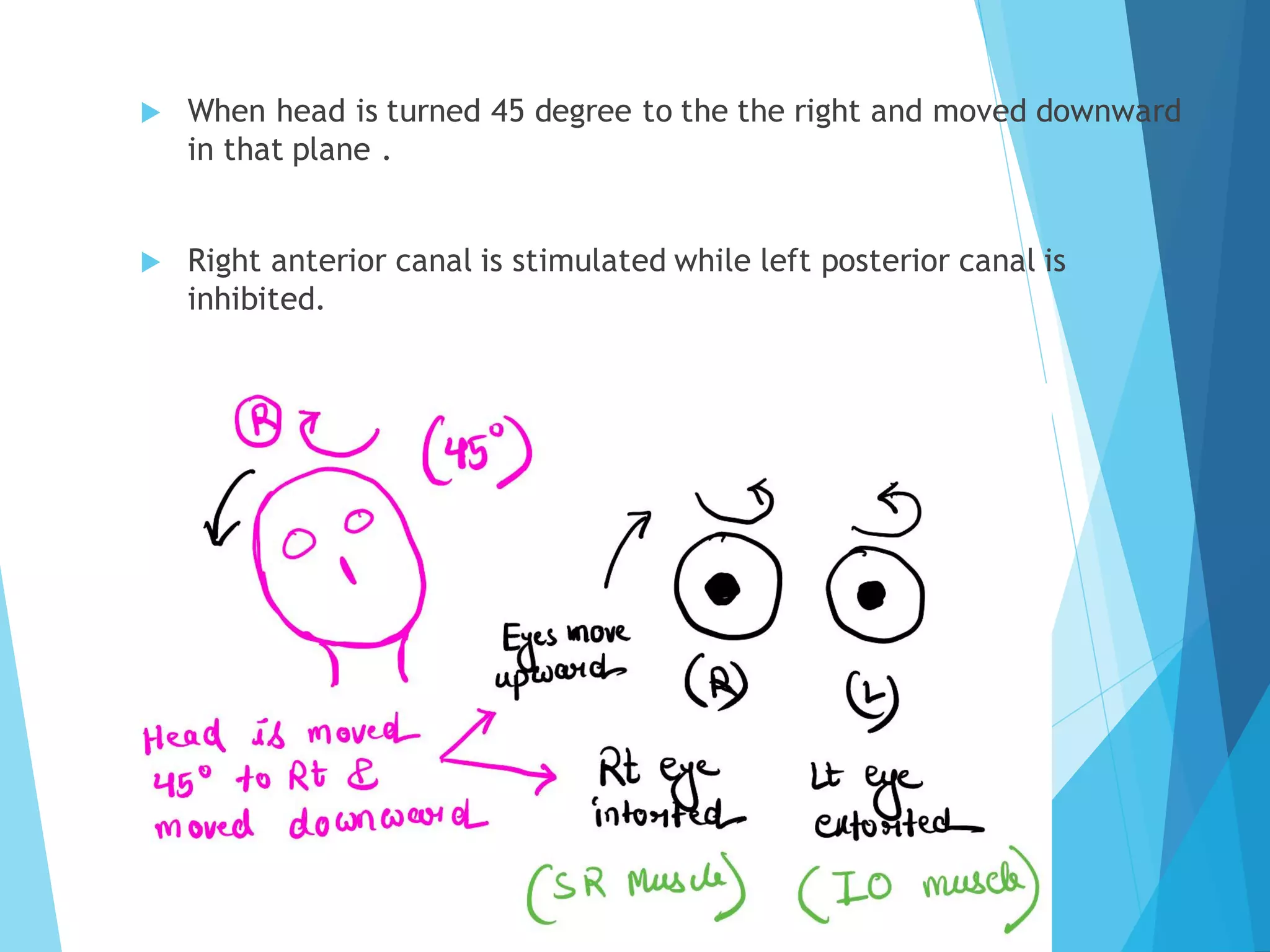 Middle ear mechanics | PDF