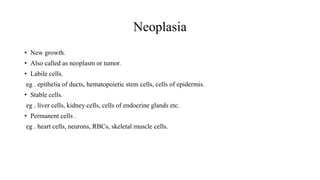 Neoplastic Transformation | PPT
