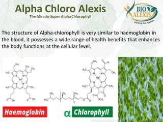 DOC-20221017-WA0006..pdf