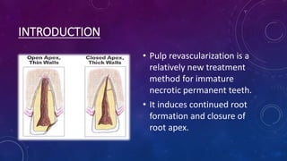 Pulp Revascularization.pptx