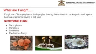 Fungal decomposition of organic matter and coprophilous fungi | PDF ...
