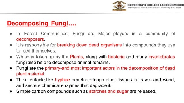 Fungal decomposition of organic matter and coprophilous fungi | PDF ...