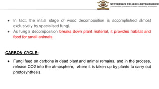 Fungal decomposition of organic matter and coprophilous fungi | PDF ...