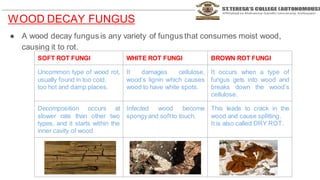 Fungal decomposition of organic matter and coprophilous fungi | PDF ...