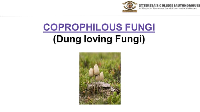 Fungal decomposition of organic matter and coprophilous fungi | PDF ...