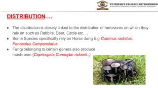 Fungal decomposition of organic matter and coprophilous fungi | PDF ...