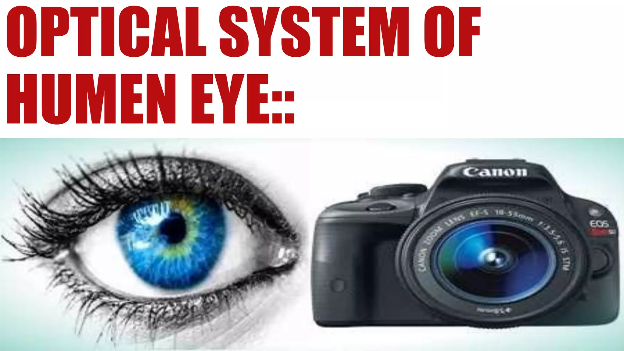 OPTICS OF HUMAN EYE , SCHEMATIC EYE, ANGLE AND AXES OF EYE | PPTX