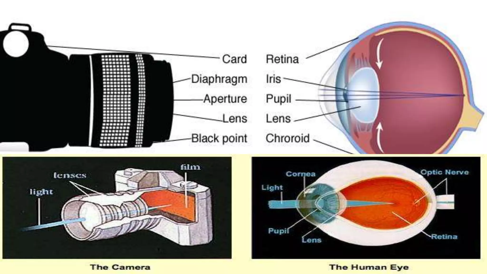 OPTICS OF HUMAN EYE , SCHEMATIC EYE, ANGLE AND AXES OF EYE | PPTX