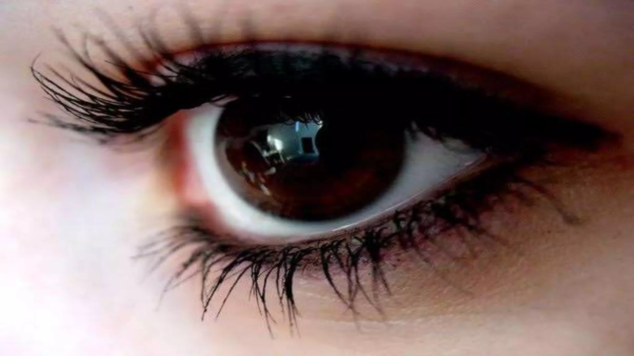 OPTICS OF HUMAN EYE , SCHEMATIC EYE, ANGLE AND AXES OF EYE | PPTX