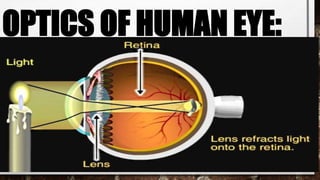 OPTICS OF HUMAN EYE , SCHEMATIC EYE, ANGLE AND AXES OF EYE | PPTX