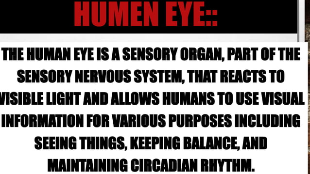 OPTICS OF HUMAN EYE , SCHEMATIC EYE, ANGLE AND AXES OF EYE | PPTX