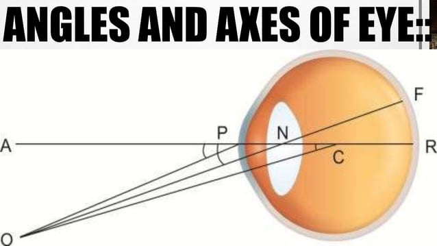 OPTICS OF HUMAN EYE , SCHEMATIC EYE, ANGLE AND AXES OF EYE | PPTX