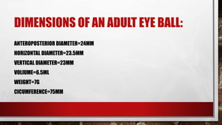 OPTICS OF HUMAN EYE , SCHEMATIC EYE, ANGLE AND AXES OF EYE | PPTX