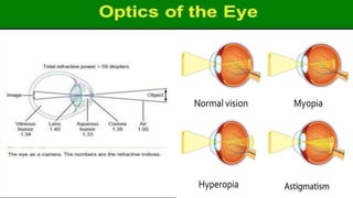 OPTICS OF HUMAN EYE , SCHEMATIC EYE, ANGLE AND AXES OF EYE | PPT
