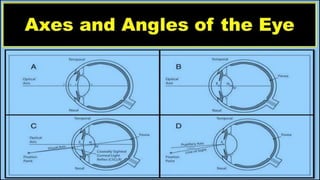 OPTICS OF HUMAN EYE , SCHEMATIC EYE, ANGLE AND AXES OF EYE | PPT