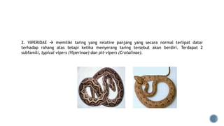 DOC-20221123-WA0006..pptx
