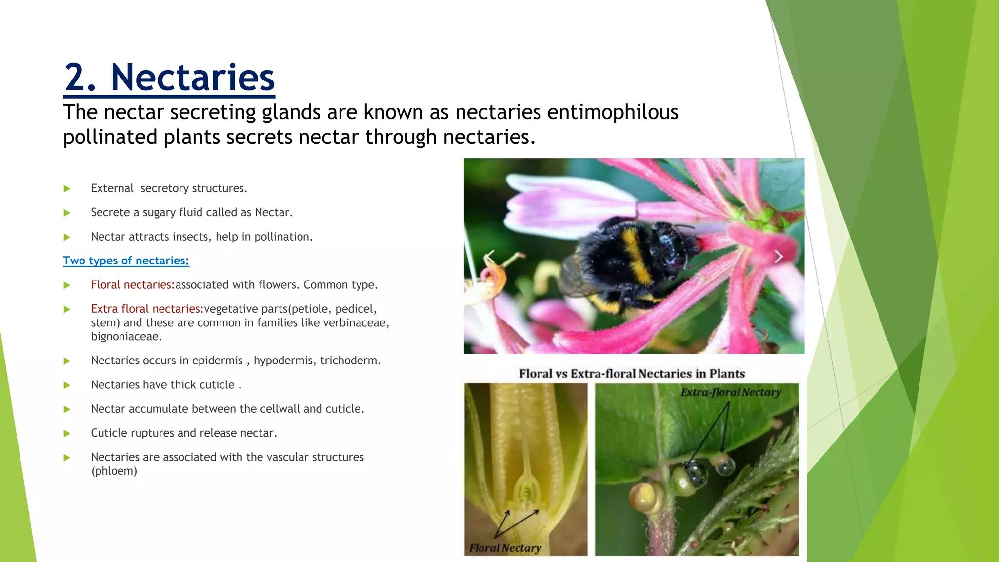 DOC-20221201-WA0003..pptx