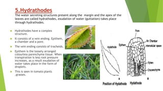 DOC-20221201-WA0003..pptx