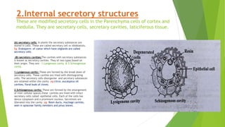 DOC-20221201-WA0003..pptx