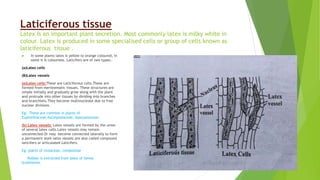 DOC-20221201-WA0003..pptx