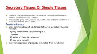 DOC-20221201-WA0003..pptx