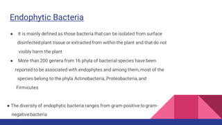 Endophytic-endophytes-bacteria and fungi:their role in plant growth ...
