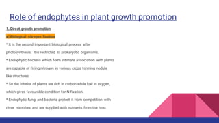 Endophytic-endophytes-bacteria and fungi:their role in plant growth ...