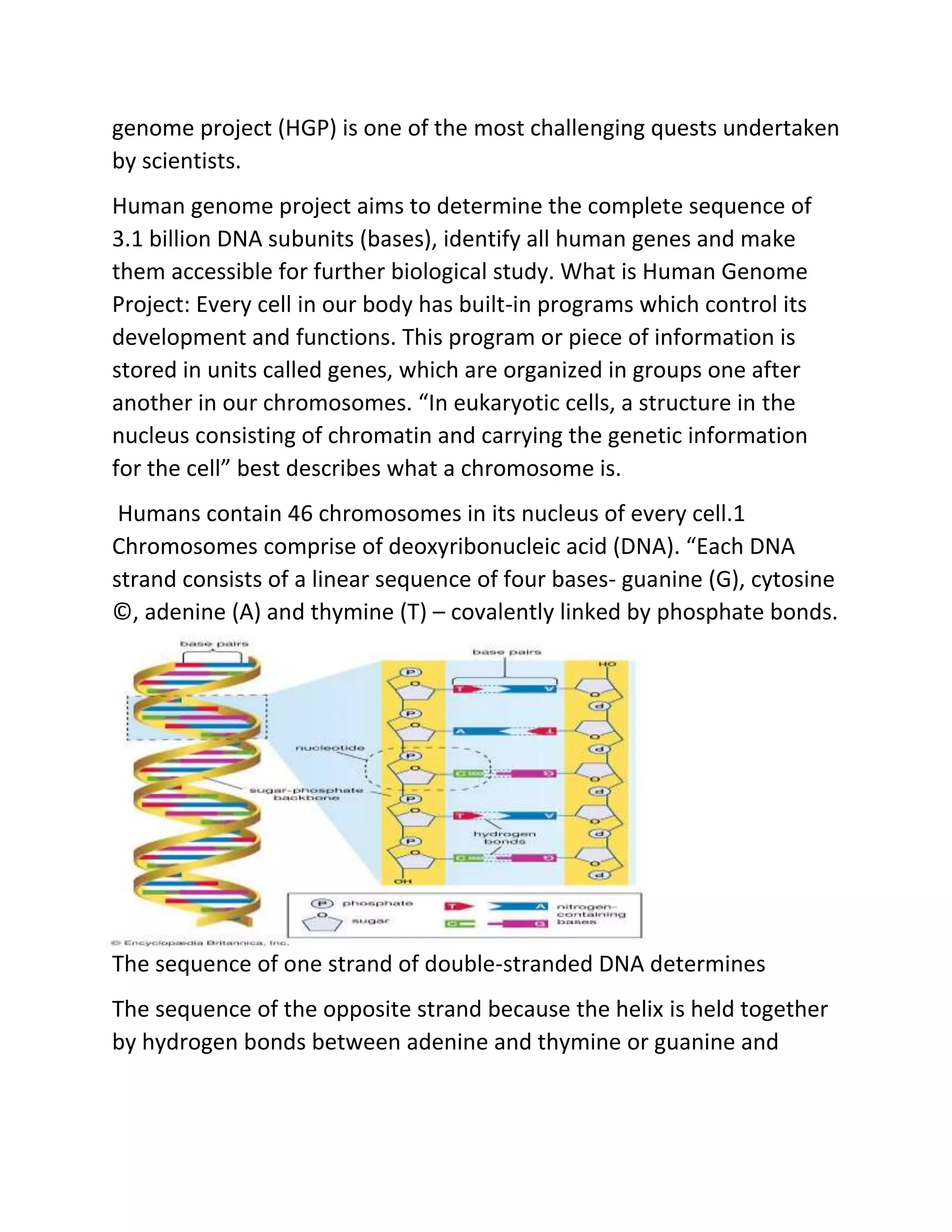 Human genome project | DOCX