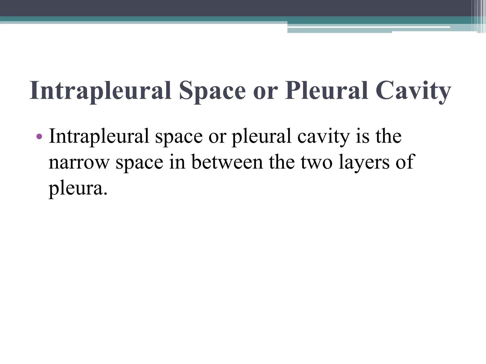 Respiratory system and its morphology.pptx