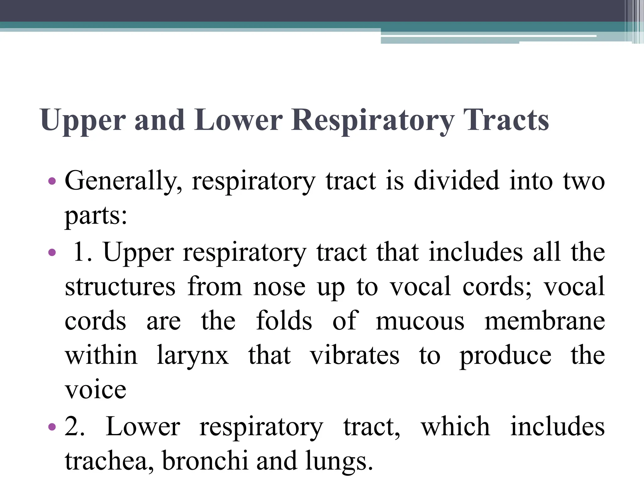 Respiratory system and its morphology.pptx