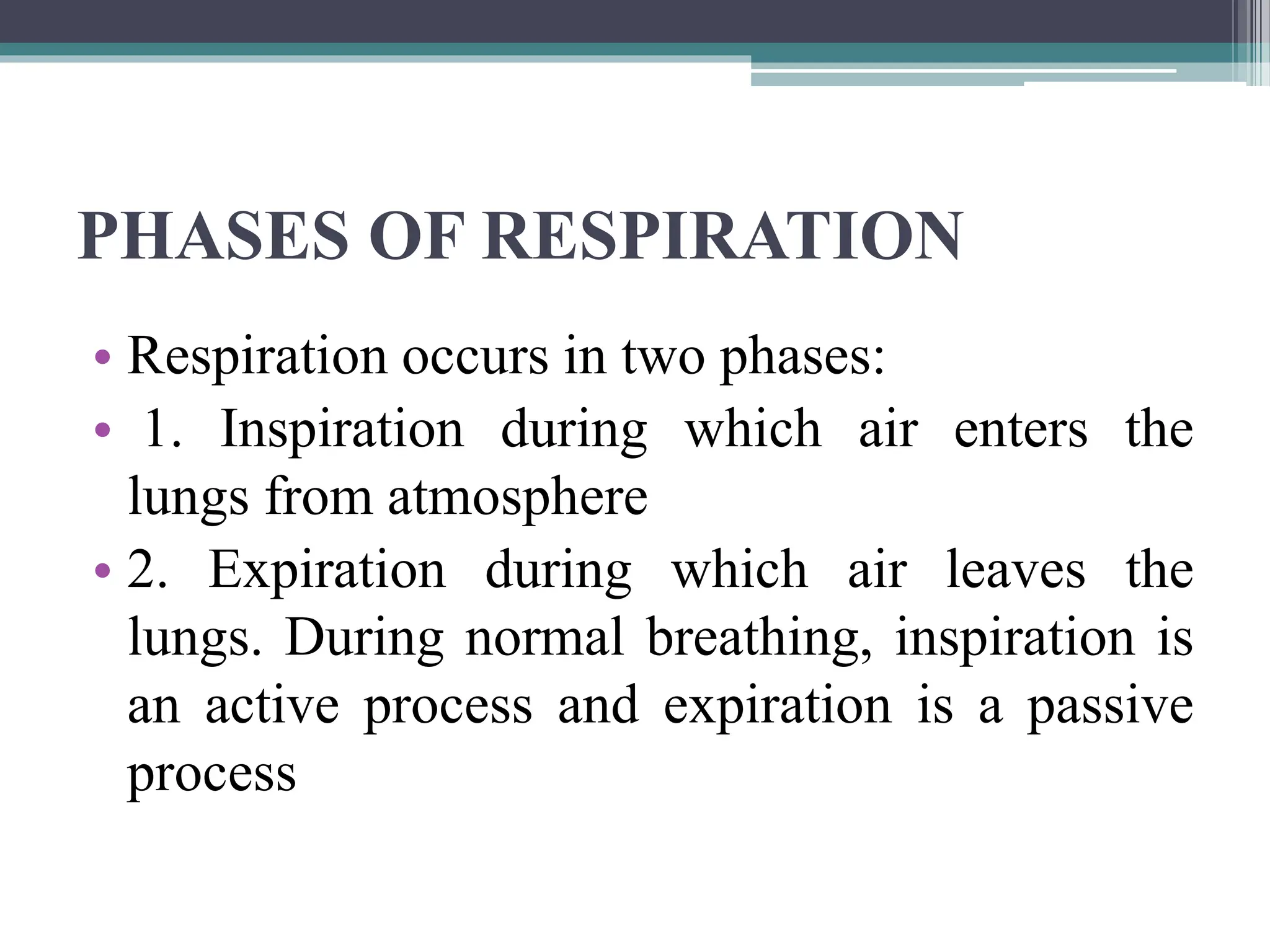 Respiratory system and its morphology.pptx