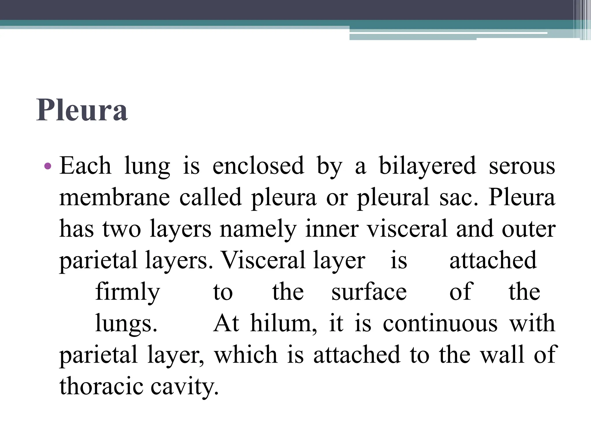Respiratory system and its morphology.pptx