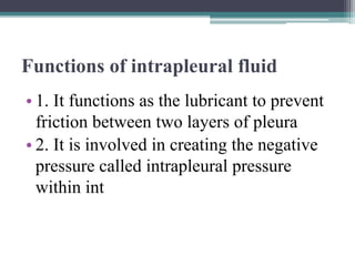 Respiratory system and its morphology.pptx