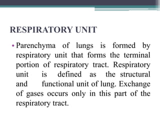 Respiratory system and its morphology.pptx