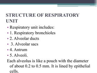 Respiratory system and its morphology.pptx
