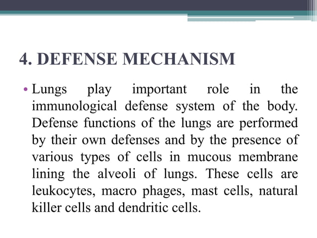 Respiratory system and its morphology.pptx