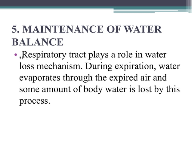 Respiratory system and its morphology.pptx