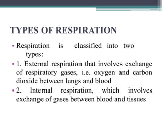 Respiratory system and its morphology.pptx