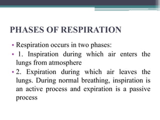 Respiratory system and its morphology.pptx