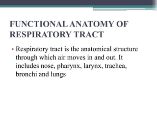 Respiratory system and its morphology.pptx