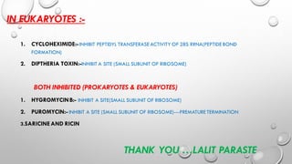 Transcription & Translation inhibitors | PDF