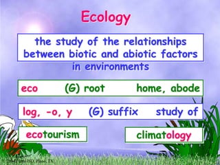 Ecology-WA0005..ppt