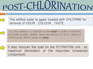 Water purification | PPTX