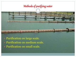Water purification | PPTX