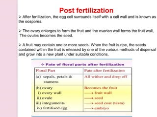 Fertilization in plant .ppt