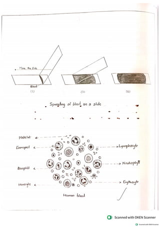 Science education documents for student pursuing graduation | PDF ...