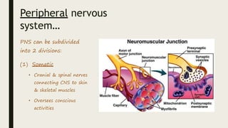 DOC-20230215-WA0065..pptx