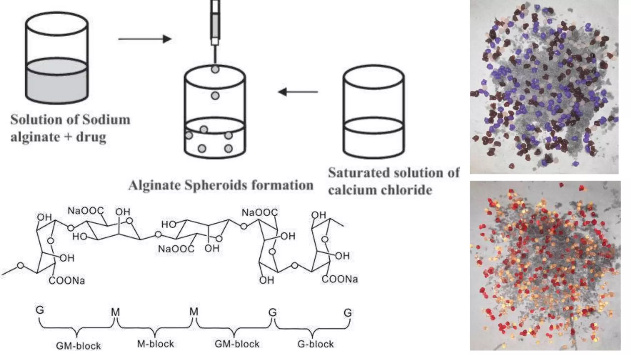 Sodium Alginate Beads Pptx